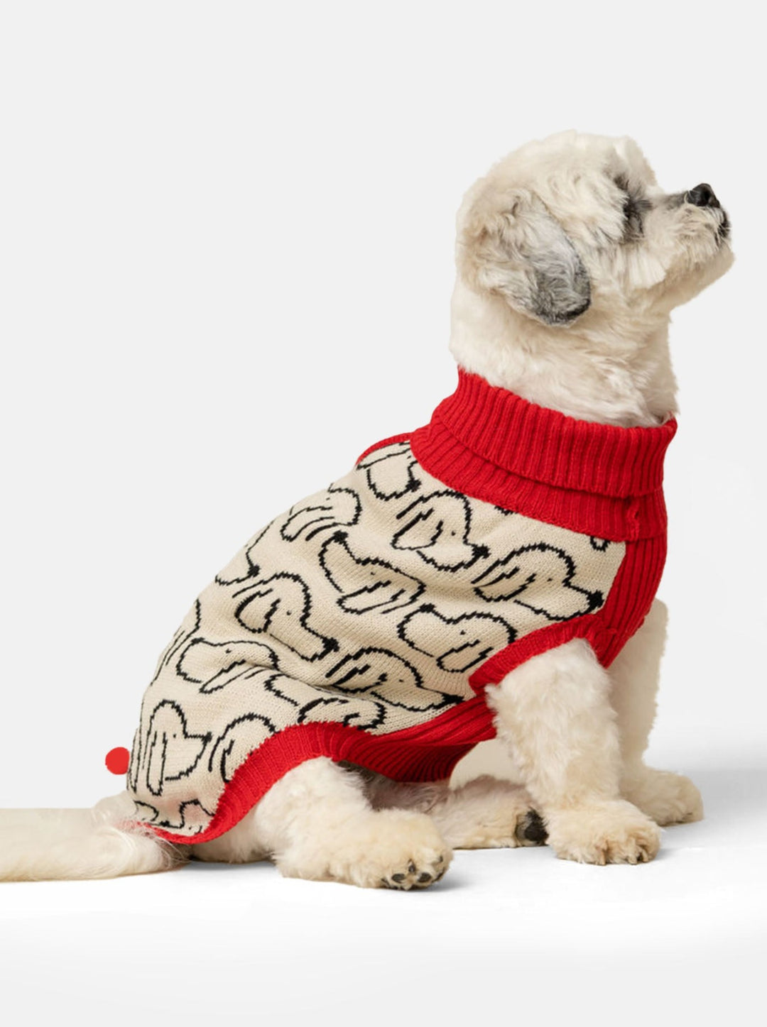 Snoop Jumper – Hotdog Petwear